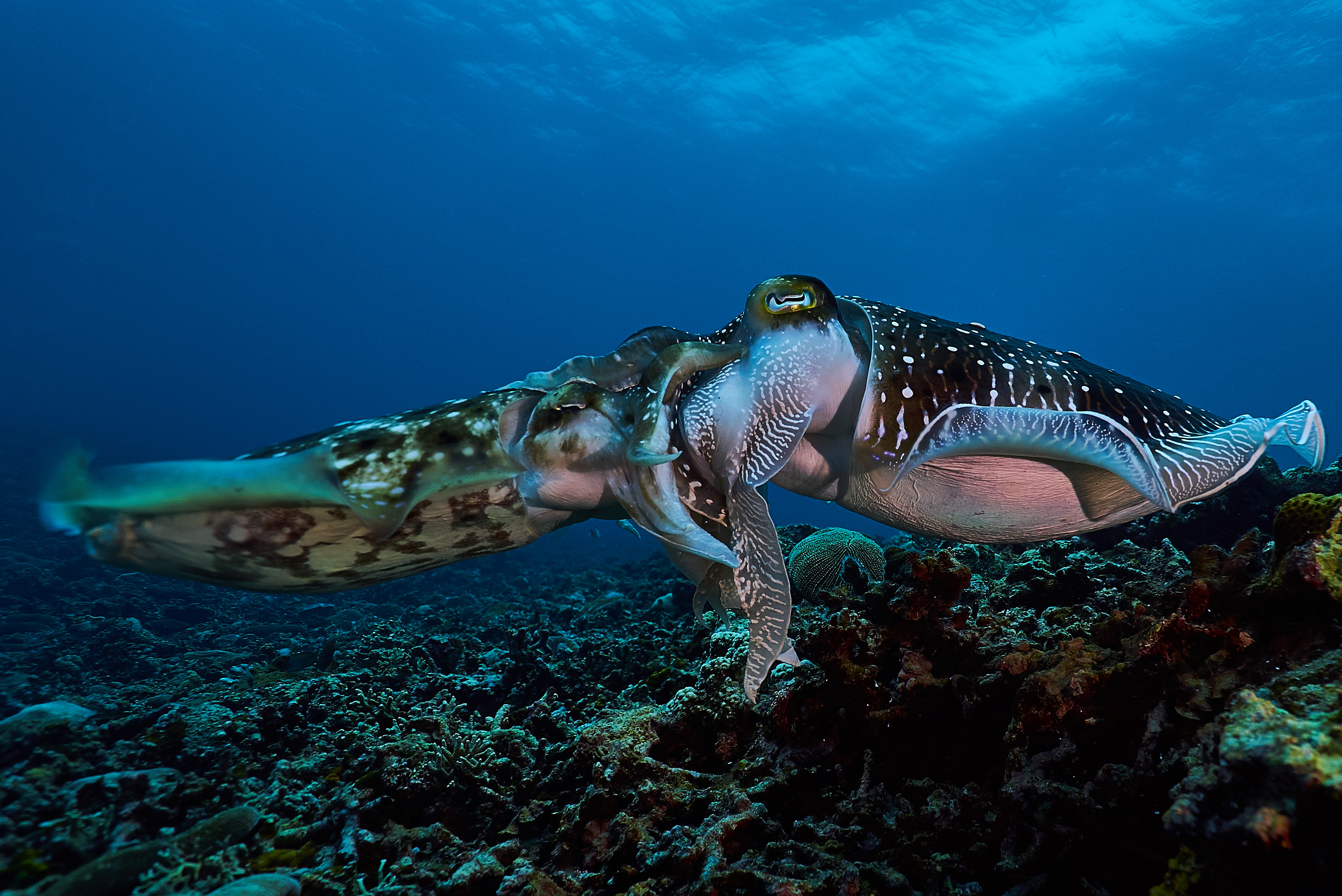 GW終わって。 | GOODDIVE